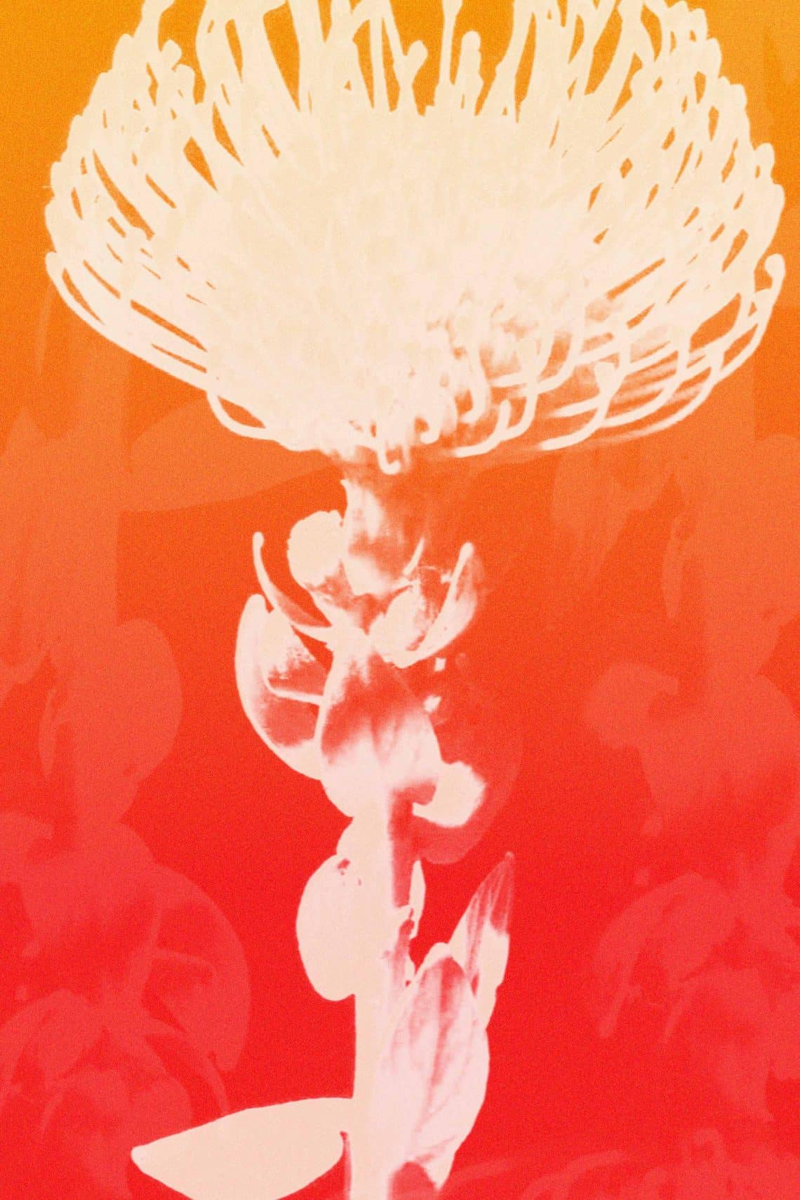 Soleil : le hors-série de l'été 2023 - En attendant Nadeau